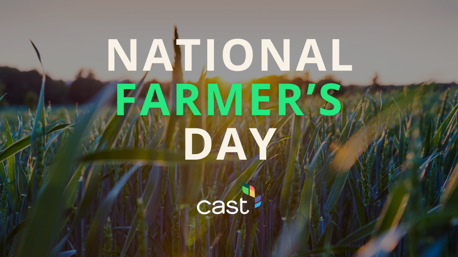 National Farmer's Day: Celebrating the Backbone of Agriculture - CAST ...